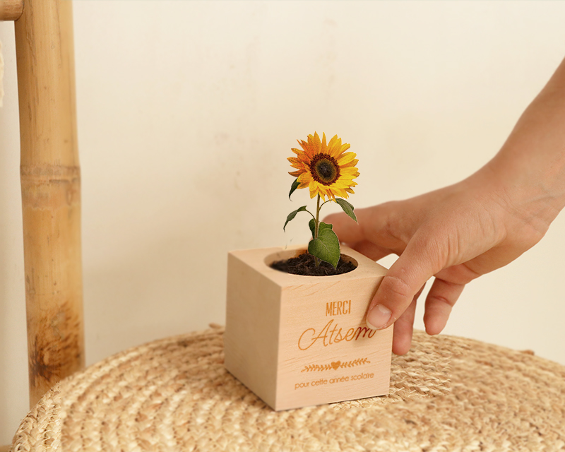 Ecocube personnalisé - Merci Maîtresse | Cadeaux.com